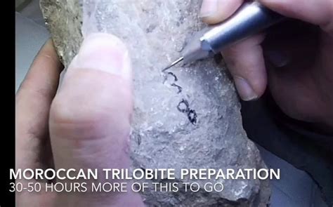 Fossil Preparation Basics A Short Clip Of Different Preparation Techniques