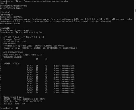 Udp Buf Size不正确 · Issue 310 · Adguardteamdnsproxy · Github