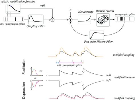 A Generalized Bilinear Model Gblm Provides A Descriptive Model Of How