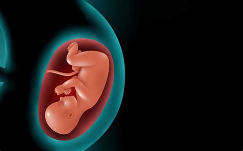 Advancements In Pregnancy Testing Synlab Nigeria