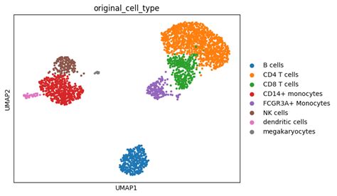 Scvi For Cell Type Prediction And Data Projection — Cellxgene Census Documentation