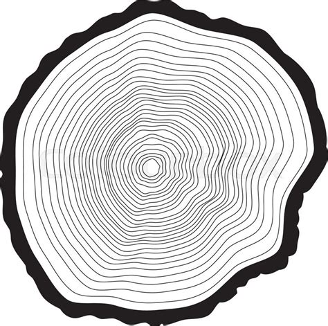 Vector Tree Rings At Vectorified Com Collection Of Vector Tree Rings