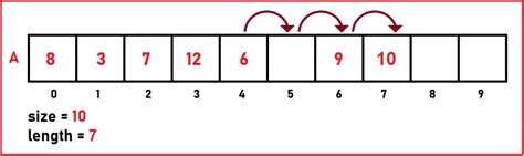 Display Append And Insert Elements In An Array Dot Net Tutorials