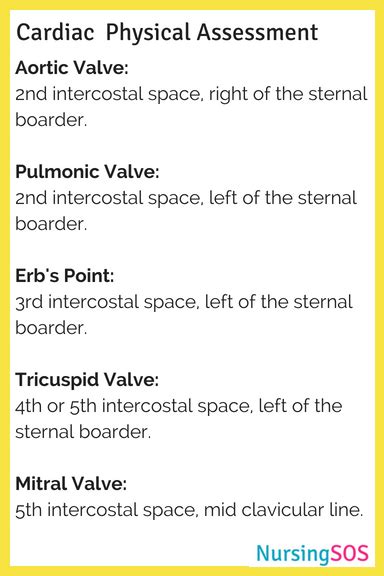 Cardiac Physical Assessment Cheat Sheet 1 Nursing School Of Success