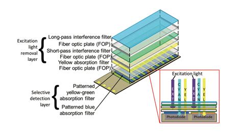 Lens Free Dual Color Fluorescent Cmos Image Sensor For Förster Resonan Szphoton