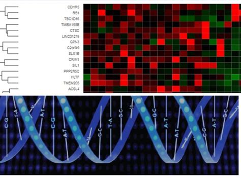 International Online Workshop On Transcriptomic Data Analysis