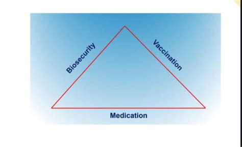 Tarek Sherif On Linkedin • Disease Prevention Through Vaccination Is One Of The Aspects Of…