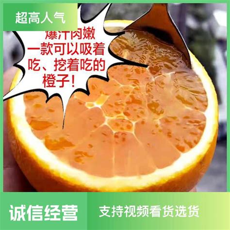 中国十大名橙排名 惠农网