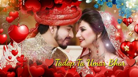 Sajid Ali Youtube