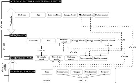 3 Schematic Of Intrinsic And Extrinsic Factors Affecting Juvenile