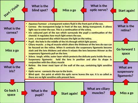 Aqa Ks4 Gcse Biology Science Nervous System Revision Revision Lesson And Activities Teaching