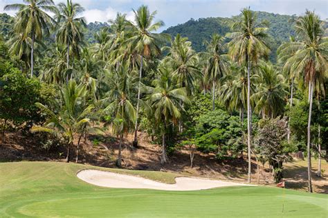 하늘 태국으로 아름 다운 녹색 골프 코스와 코코넛 야 자 나무의 풍경 0명에 대한 스톡 사진 및 기타 이미지 0명 경관 계절 Istock