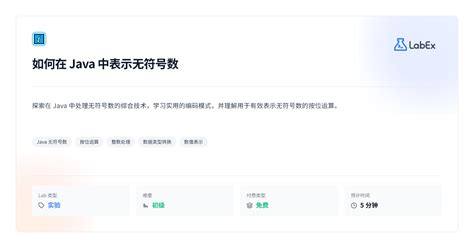 如何在 Java 中表示无符号数 Labex