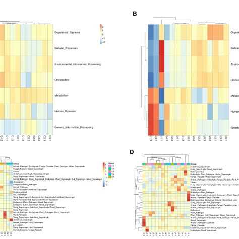 Heatmap Of Bacterial And Fungal Function Prediction Ab Function Download Scientific Diagram