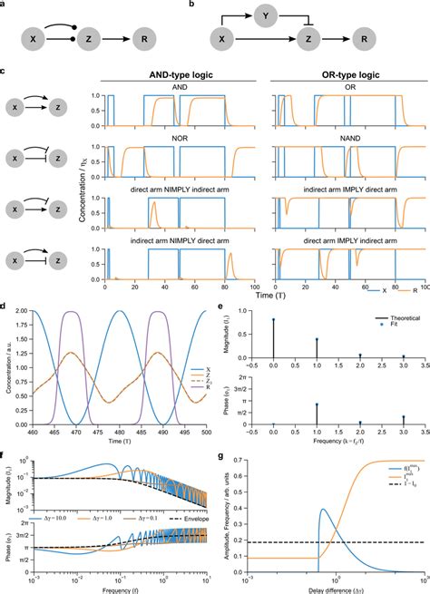 The Feedforward Network Motif Owes Its Primary Functions To A