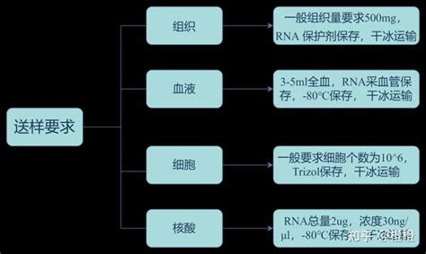 转录组学干货 转录组测序技术流程介绍 知乎