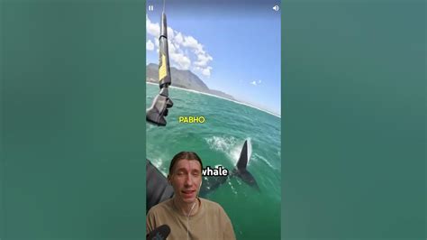 ЭКСТРИМ ДЛЯ ТУПЫХ ЛЮДЕЙ НЕ ПОНИМАЮ ЭТОГО Youtube