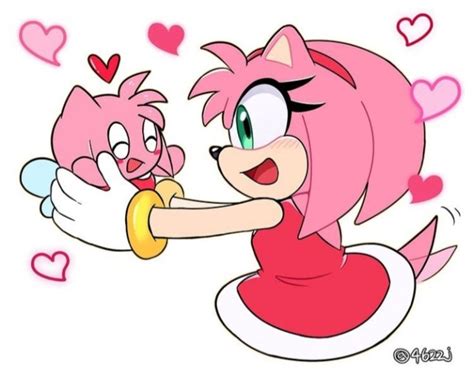 Pin By Juniin Oliveira On Salvamentos Rápidos Amy Rose Hedgehog Amy Rose Amy The Hedgehog