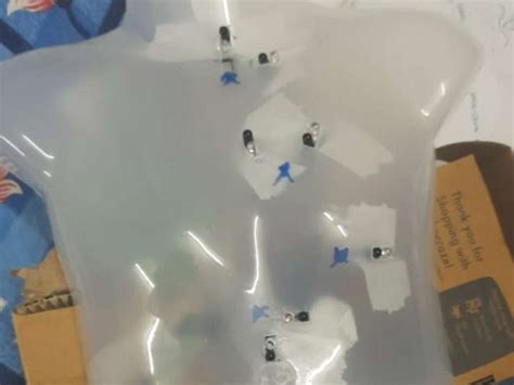 2d Echo Simulator Project