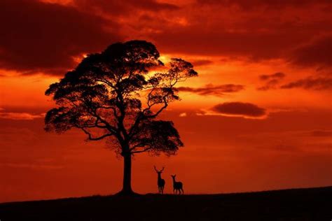 The Importance Of Pre Visualisation In Photography Nature Ttl