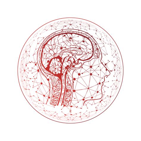 Datacenter Infrastructure