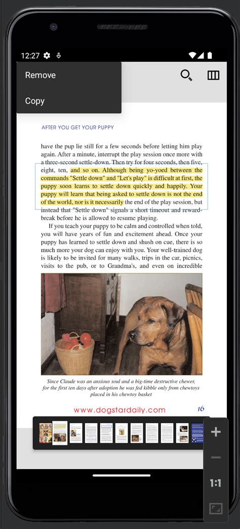 Pdf Highlight Selection Menu Position And Styling Android · Issue