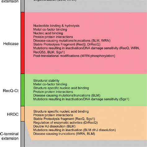 Schematic Illustration Of The Structural Or Functional Properties Of Download Scientific