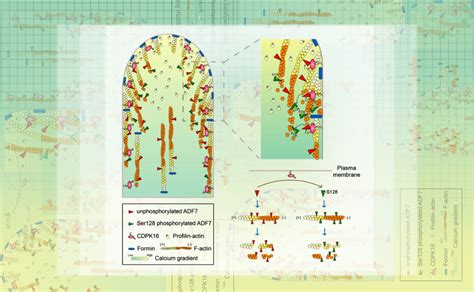 学术科研 清华大学