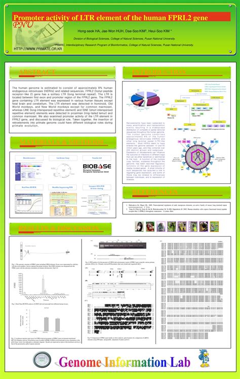 Gene Related Sequence Ppt Download