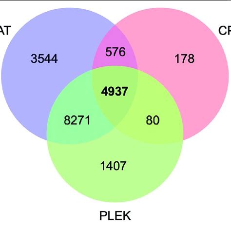 Putative Long Noncoding Rnas Based On Cpc2 Plek And Cpat Tools
