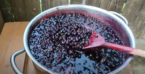 Recept Za Domaći Sok I Džem Od Borovnica