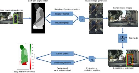 Model Agnostic Body Part Relevance Assessment For Pedestrian Detection Paper And Code