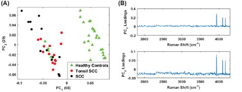 A Plot Of The First Two Pc Scores For All Stained And Unstained The Download Scientific