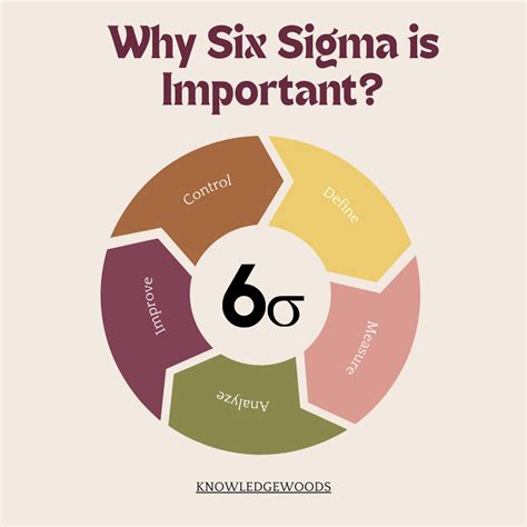 A Comprehensive Guide On How To Be Six Sigma Black Belt Certified By