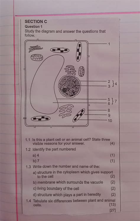 SECTION C Question Study The Diagram And StudyX