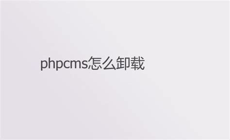 建站知识 网商在线科技