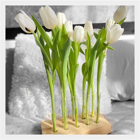 Ваза с пробирками — цена 500 грн в каталоге Вазы Купить товары для дома и быта по доступной цене