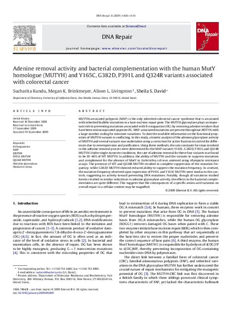 Pdf Adenine Removal Activity And Bacterial Complementation With The Human Muty Homologue