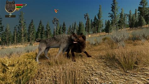 Wolfquest Anniversary Edition Download