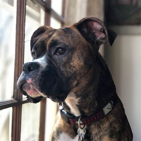 Savannah Schofield Youtube