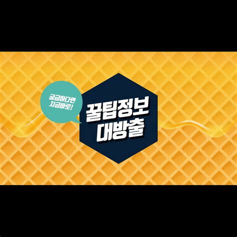 🔄 워드프레스 초기화 방법 간단한 재설정 가이드 🔄