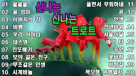 상큼한 트로트 메들리 트로트 신곡 메들리 Playlist Youtube