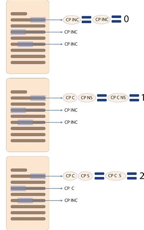 Three Possible Examples Of Obtaining In Coding Several Segments Download Scientific Diagram