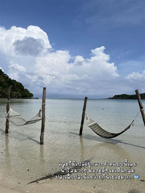 🔗 มัดรวมสถานที่ 🏝️ที่ต้องไปเช็คอิน📍 ถ้ามาเกาะเต่า🏝 แกลเลอรีที่โพสต์