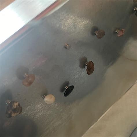 Ladybug Magnets Set Of 3 Etsy