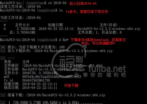 【软件】仿linux命令行模式的百度网盘下载器baidupcs Go 初音社