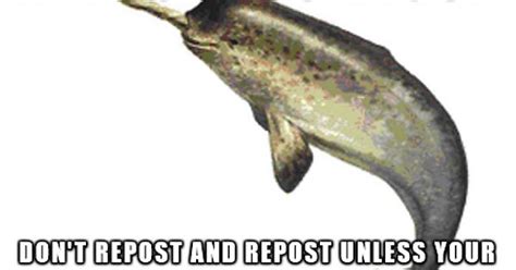 Welcome Meme On Imgur