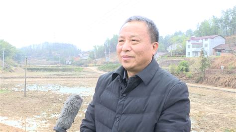 英山县农业农村局：推进高标准农田建设 筑牢乡村振兴“耕”基 湖北日报新闻客户端