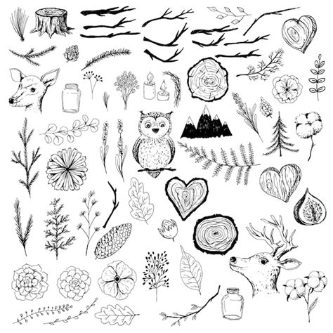 Premium Vector Rustic Forest Elements