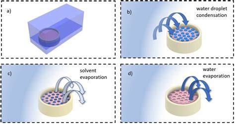 A Schematic Depiction Of The Breath Figure Technique In Four Stages A Download Scientific